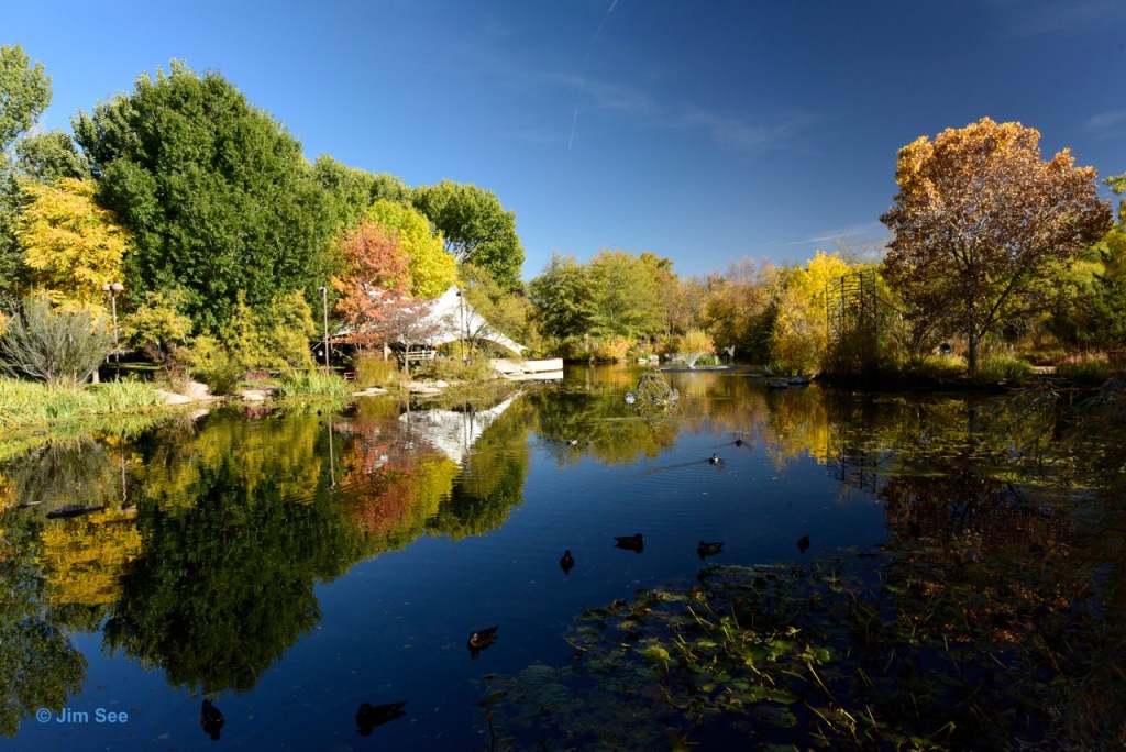 Botanic Garden (ABQ BioPark) – The Guide to New Mexico Architecture